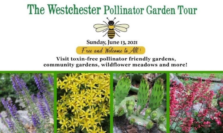 Westchester Pollinator Garden Tour - Teatown