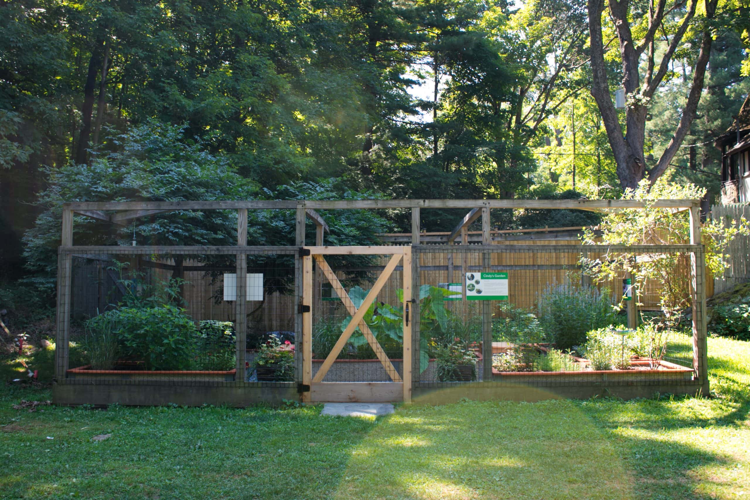 Cindy's Garden - Teatown