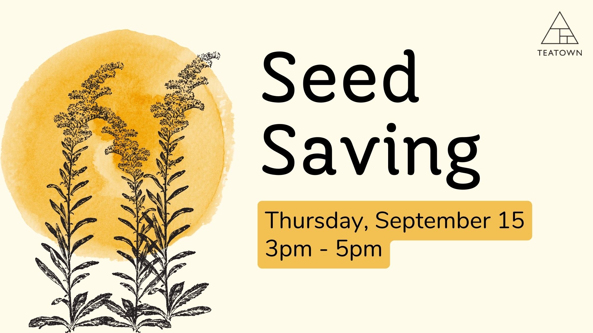 Seed Saving - Teatown