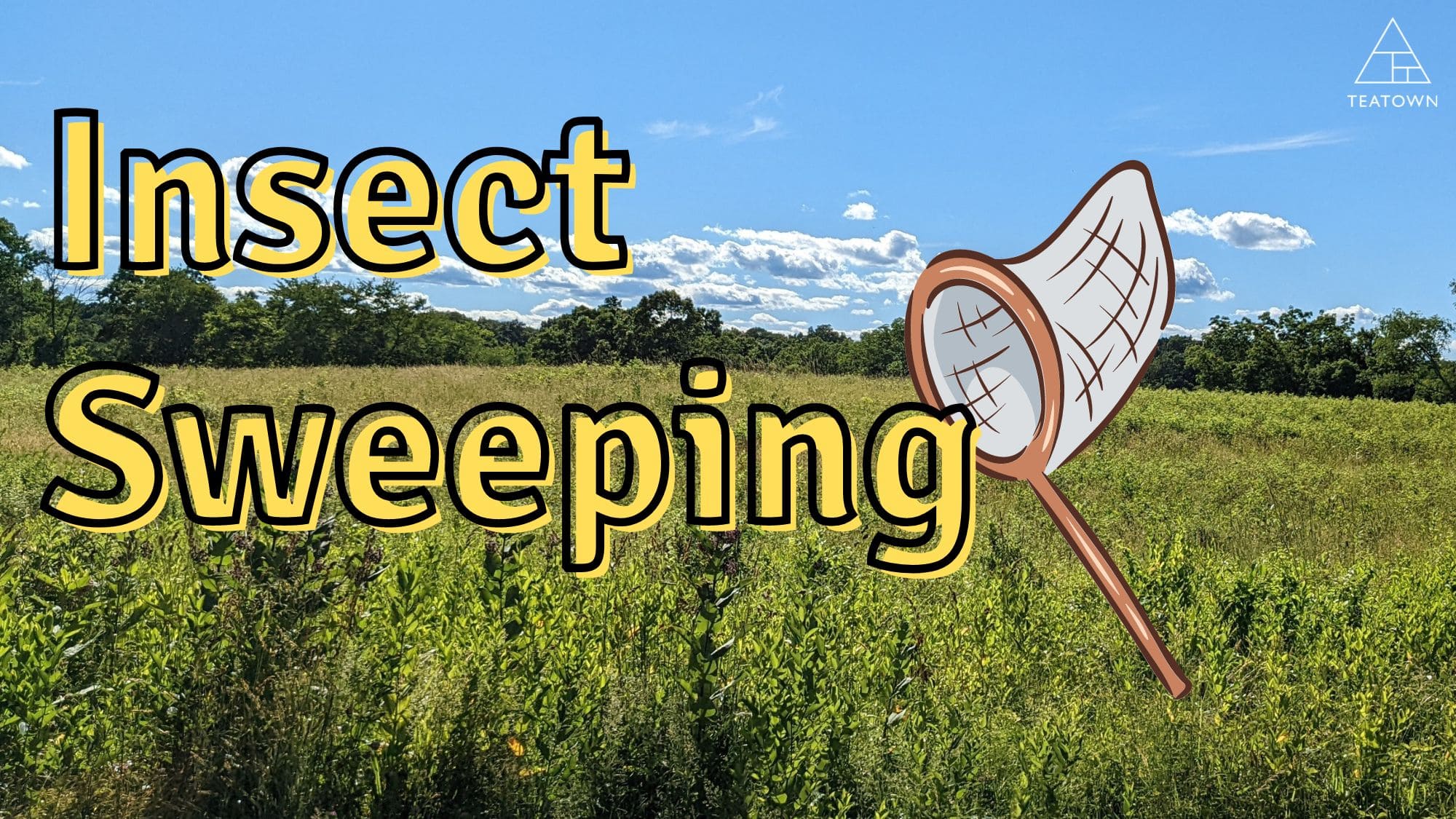 Insect Sweeping at Cliffdale Farm - Teatown