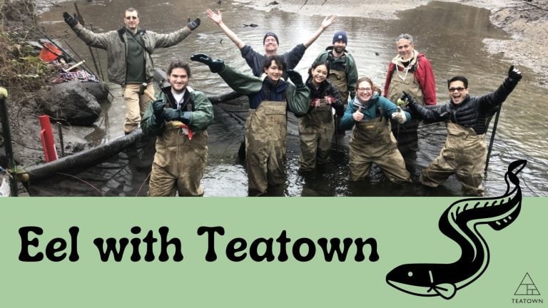 Public Programs and Events - Teatown