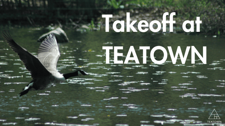 Public Programs and Events - Teatown