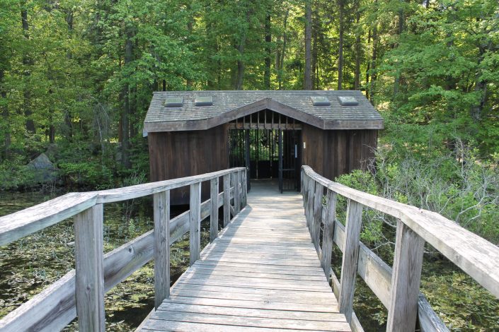 Public Programs and Events - Teatown