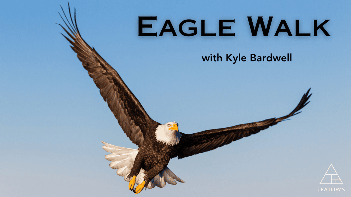 Eagle Walk - Teatown